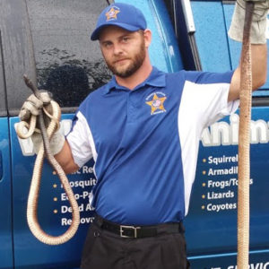 Snake Removal Services - Call A Wildlife Expert - (877) 741-7703