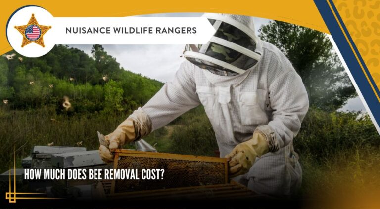 How Much Does Bee Removal Cost in 2024?