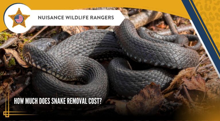 What Does Snake Removal Cost?