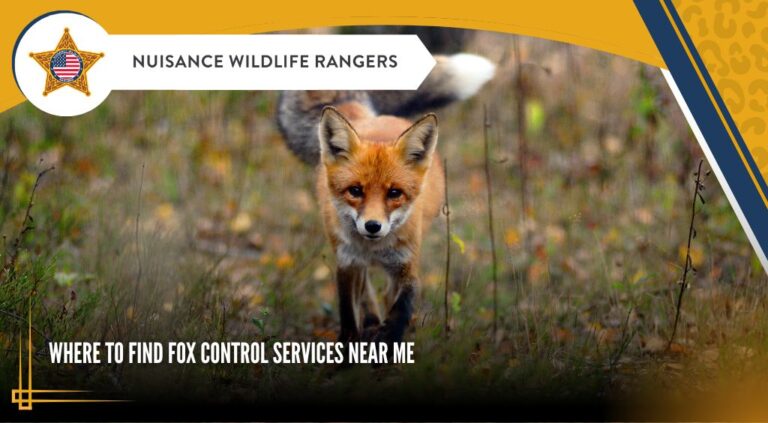 Fox Control in Lake Worth Beach, FL