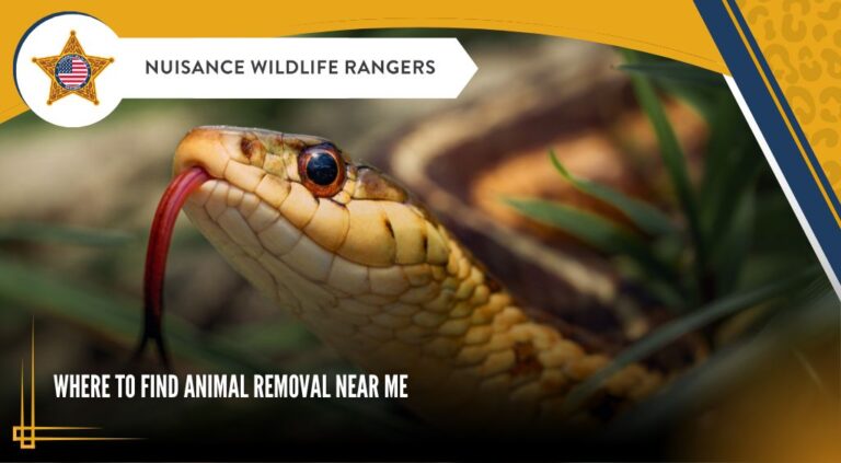 Animal Removal Specialists Lake Worth FL - Nuisance Wildlife