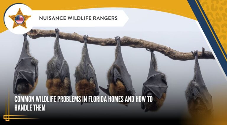 What are the Most Common Wildlife Problems in Florida?